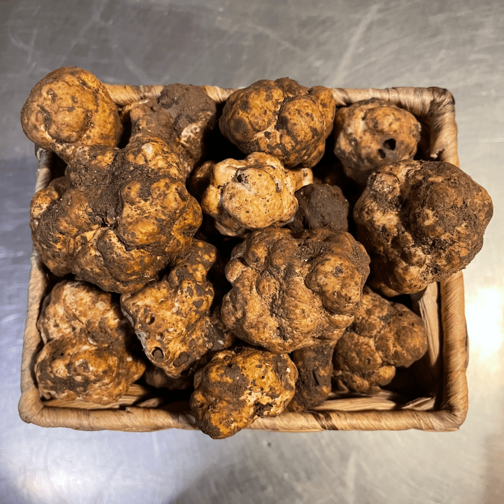 Buy fresh truffles online – Worldwide delivery from Bultruffe