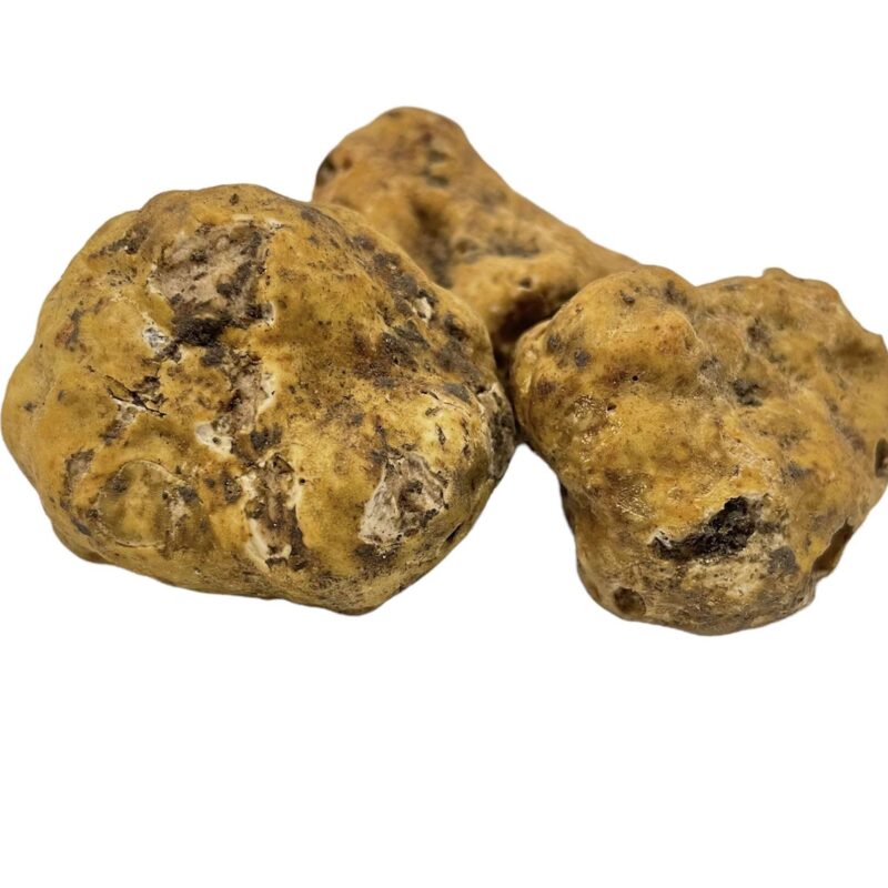 Fresh Truffles For Sale - Worldwide Fast Delivery!