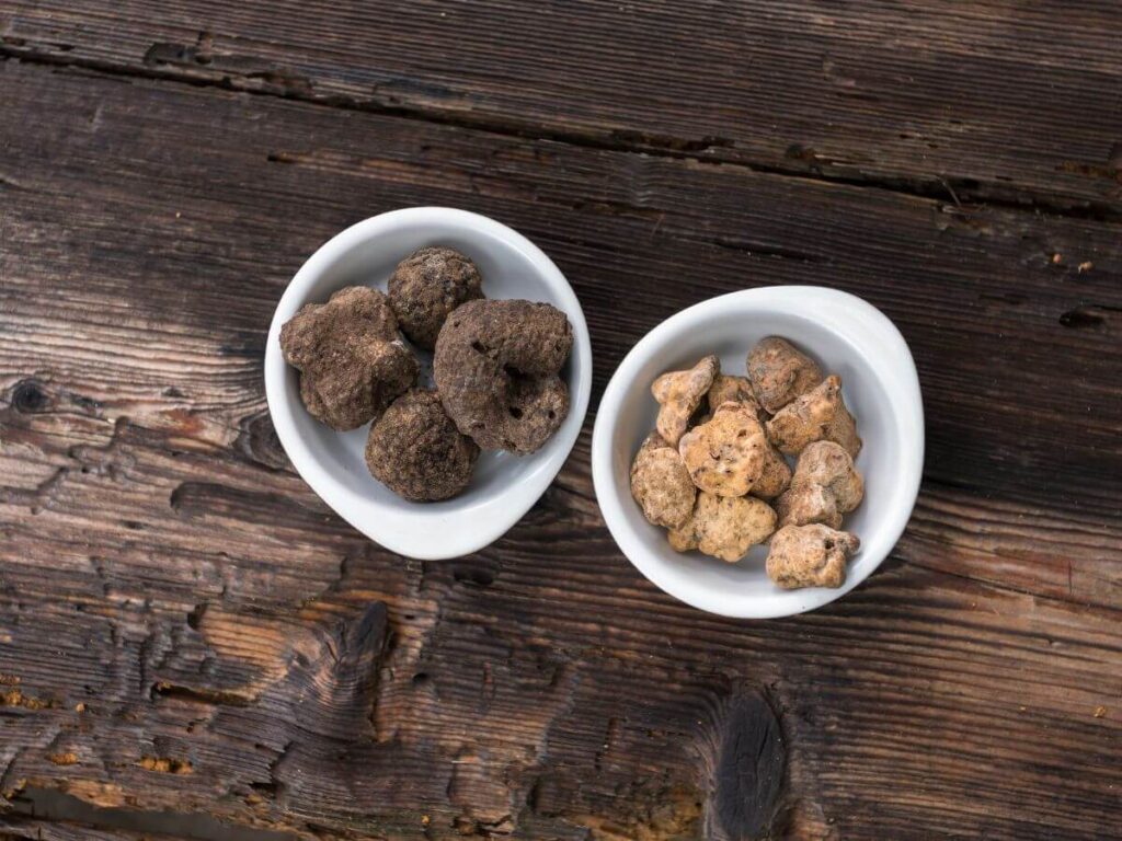 What Is a Truffle and What Does Truffle Taste Like?