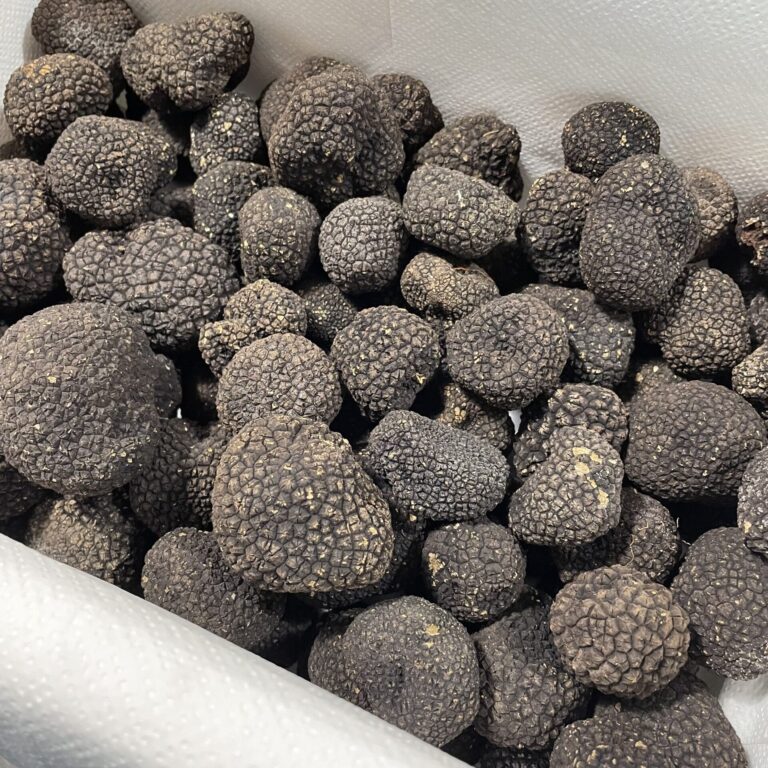What are Summer Truffles, and Are They Worth Price?