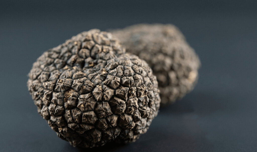 Essential Guide to Black Summer Truffles (Tuber Aestivum)