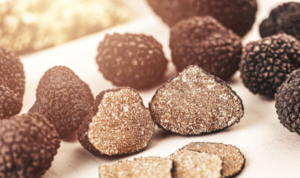 What Is a Truffle and What Does Truffle Taste Like?