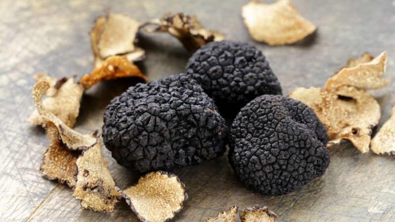 What Is a Truffle and What Does Truffle Taste Like?